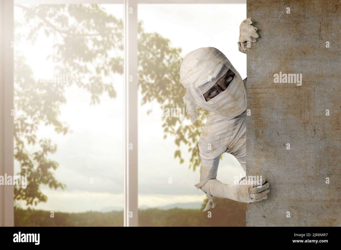 Mummy house hi-res stock photography and images - Alamy