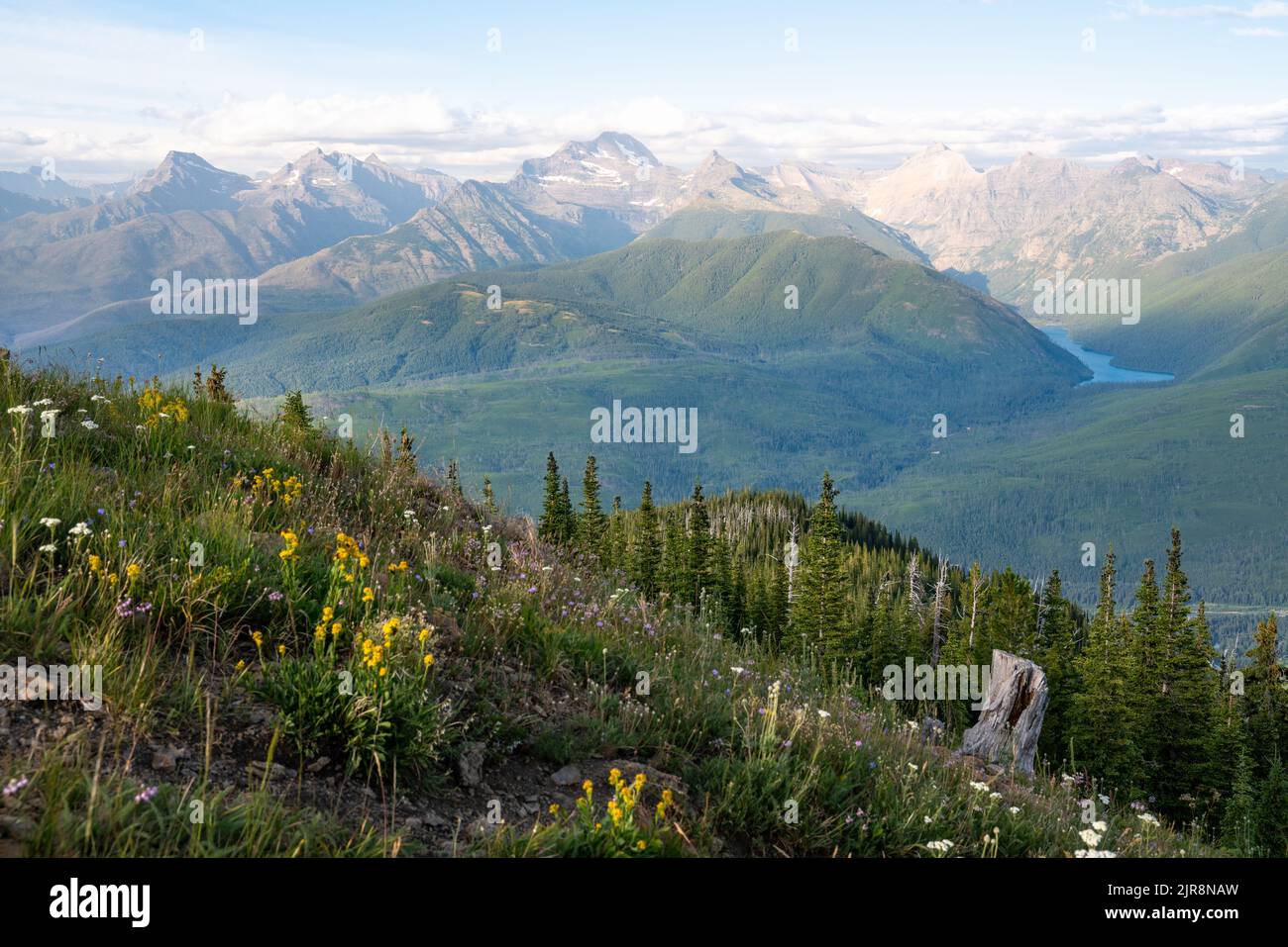 Stunning alpine meadow view of Glacier National Park from the top of ...