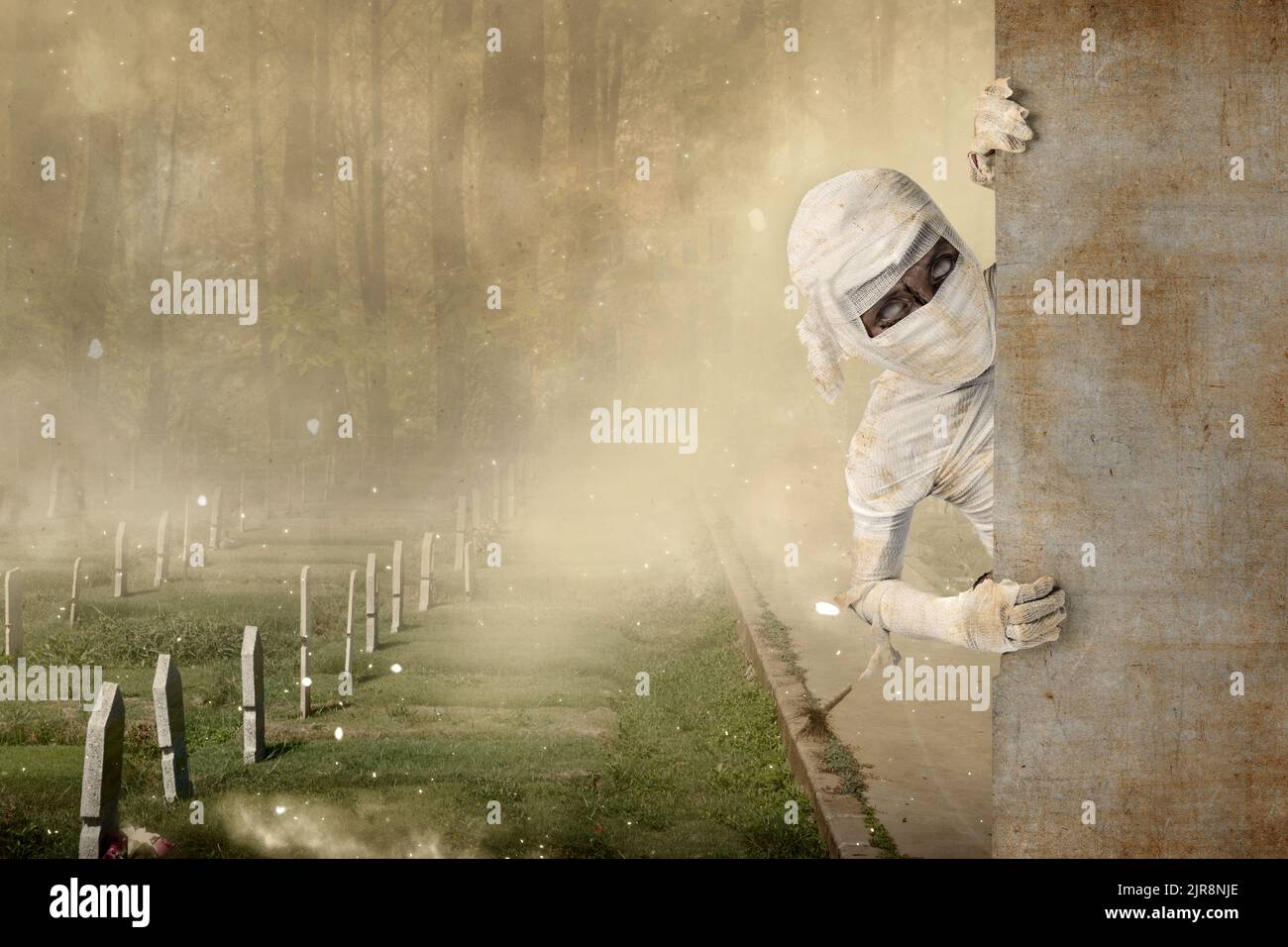 Mummy comes from behind the wall with a cemetery background. Halloween ...