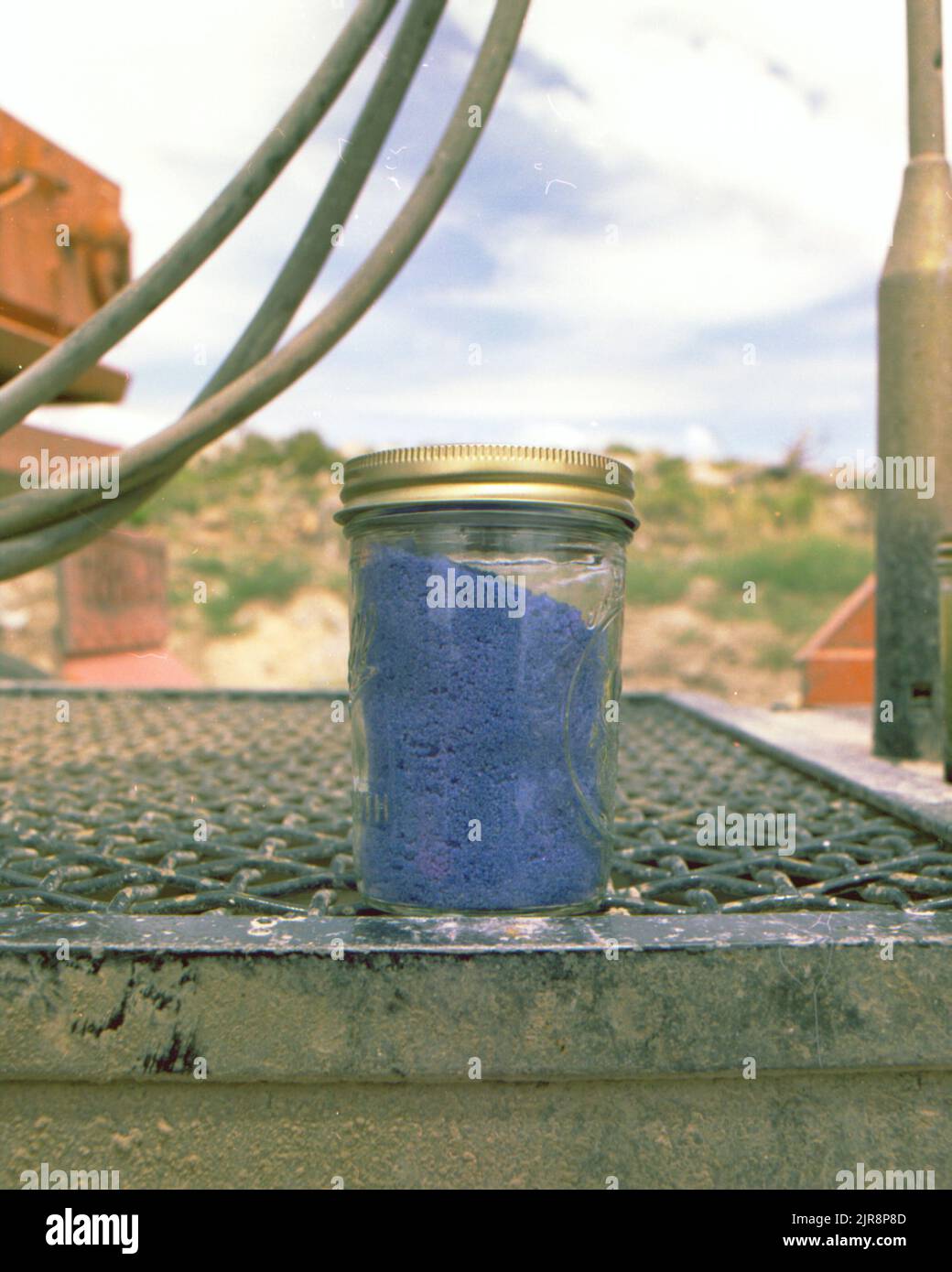 Hydra specimens hi-res stock photography and images - Alamy