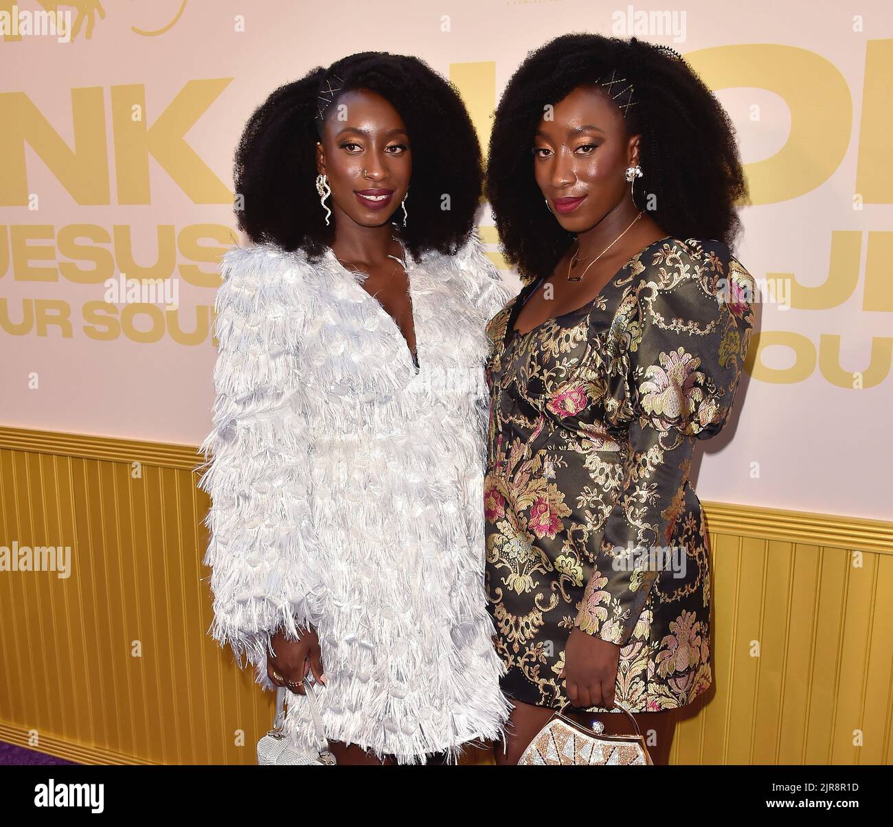 Adamma Ebo and Adanne Ebo walking the red carpet at the premiere of ...