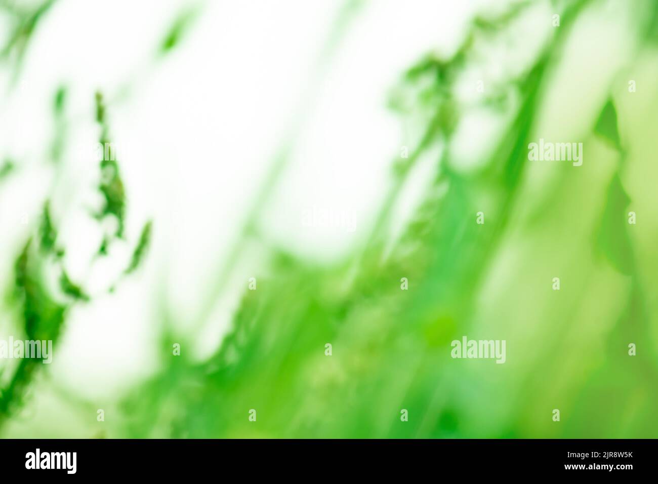 Glowing blurred colorful nature background with sunshine. Blurred ...