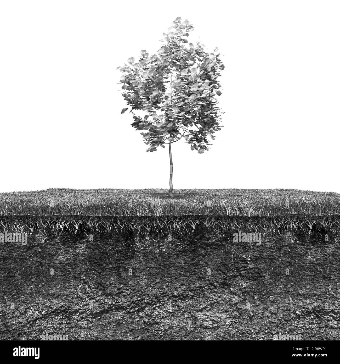 Soil cross section layers Black and White Stock Photos & Images - Alamy