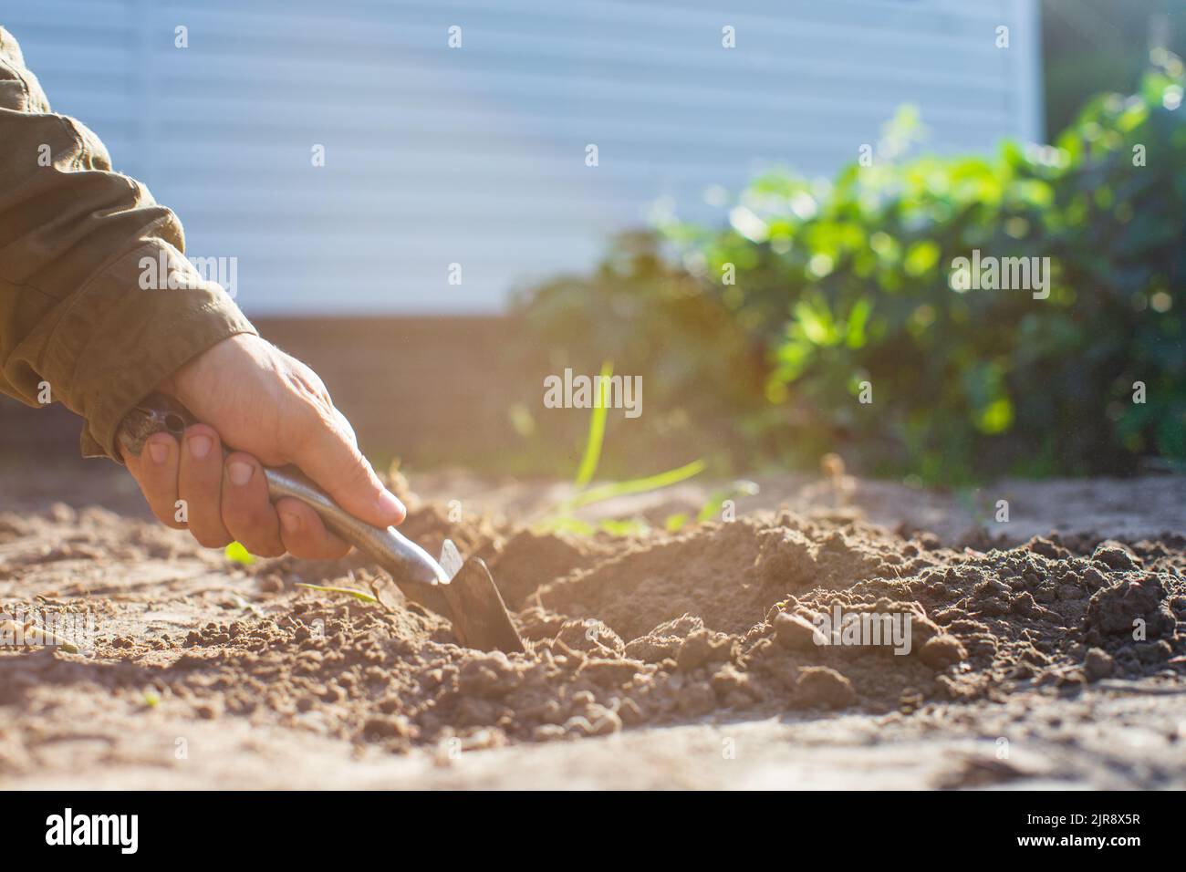 Farmer cultivating land in the garden with hand tools. Soil loosening ...