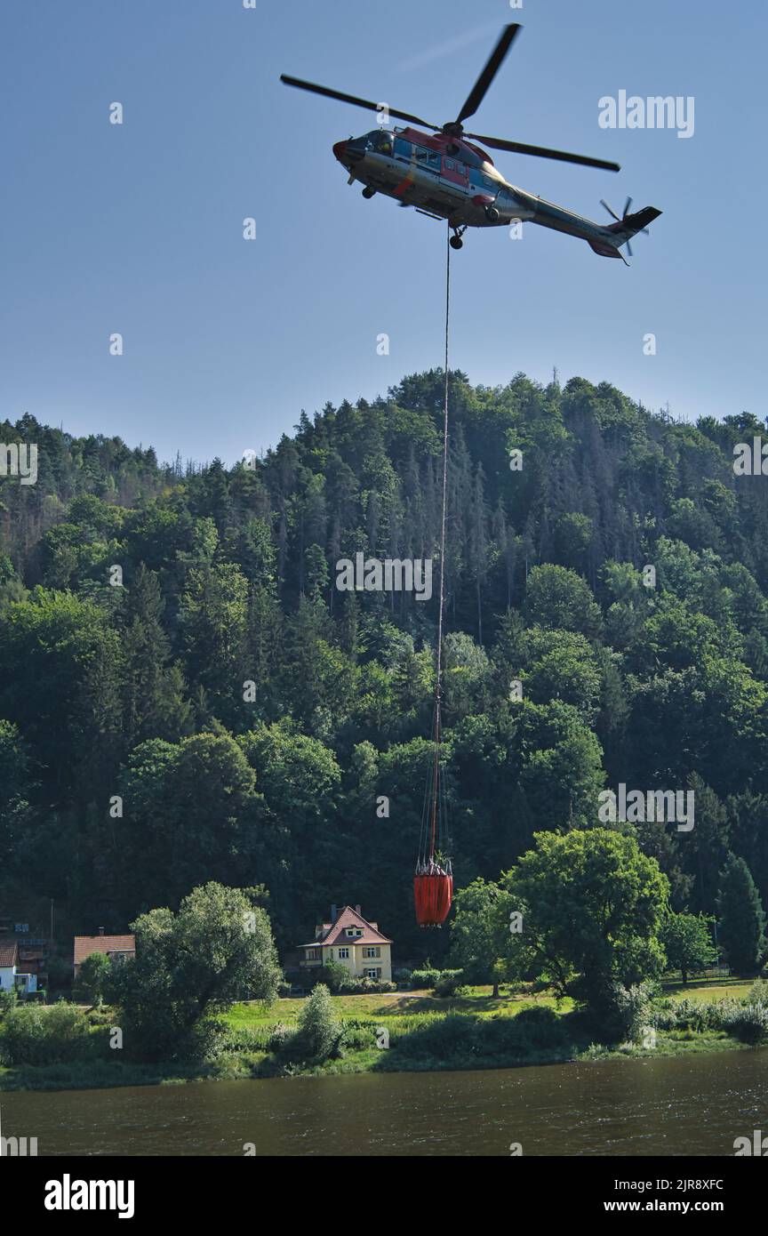 Lily saxon hi-res stock photography and images - Alamy