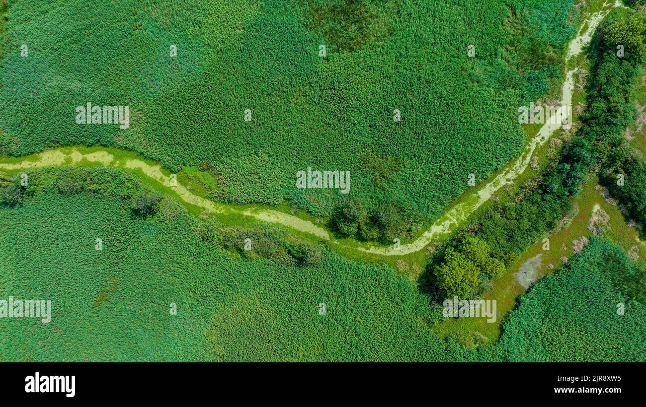 SUQIAN, CHINA - AUGUST 22, 2022 - An aerial photo shows the luxuriated ...