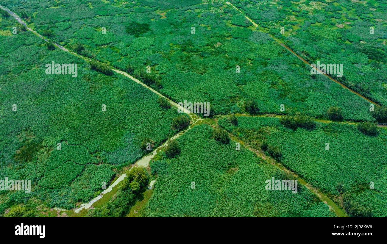 SUQIAN, CHINA - AUGUST 22, 2022 - An aerial photo shows the luxuriated ...