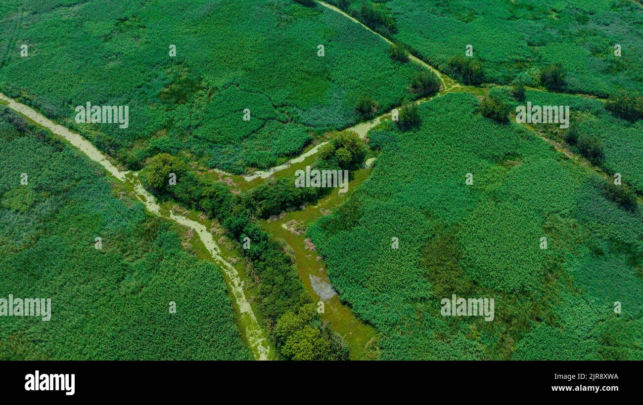 SUQIAN, CHINA - AUGUST 22, 2022 - An aerial photo shows the luxuriated ...