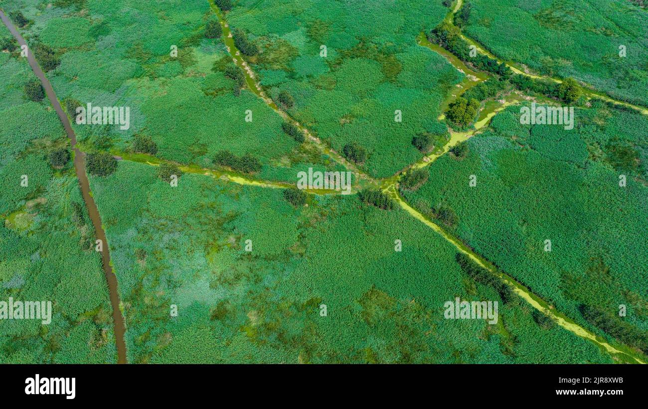 SUQIAN, CHINA - AUGUST 22, 2022 - An aerial photo shows the luxuriated ...