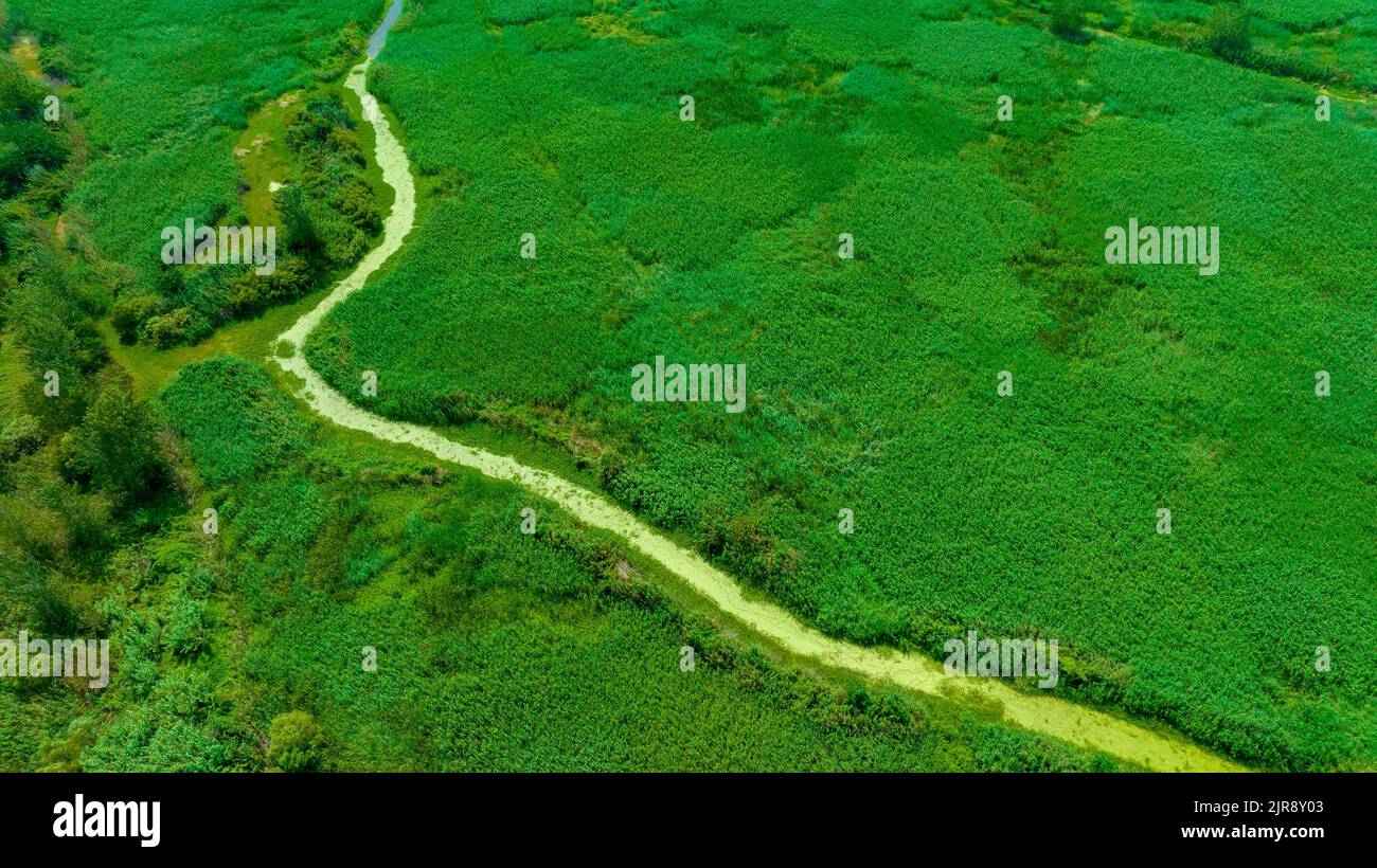 SUQIAN, CHINA - AUGUST 22, 2022 - An aerial photo shows the luxuriated ...