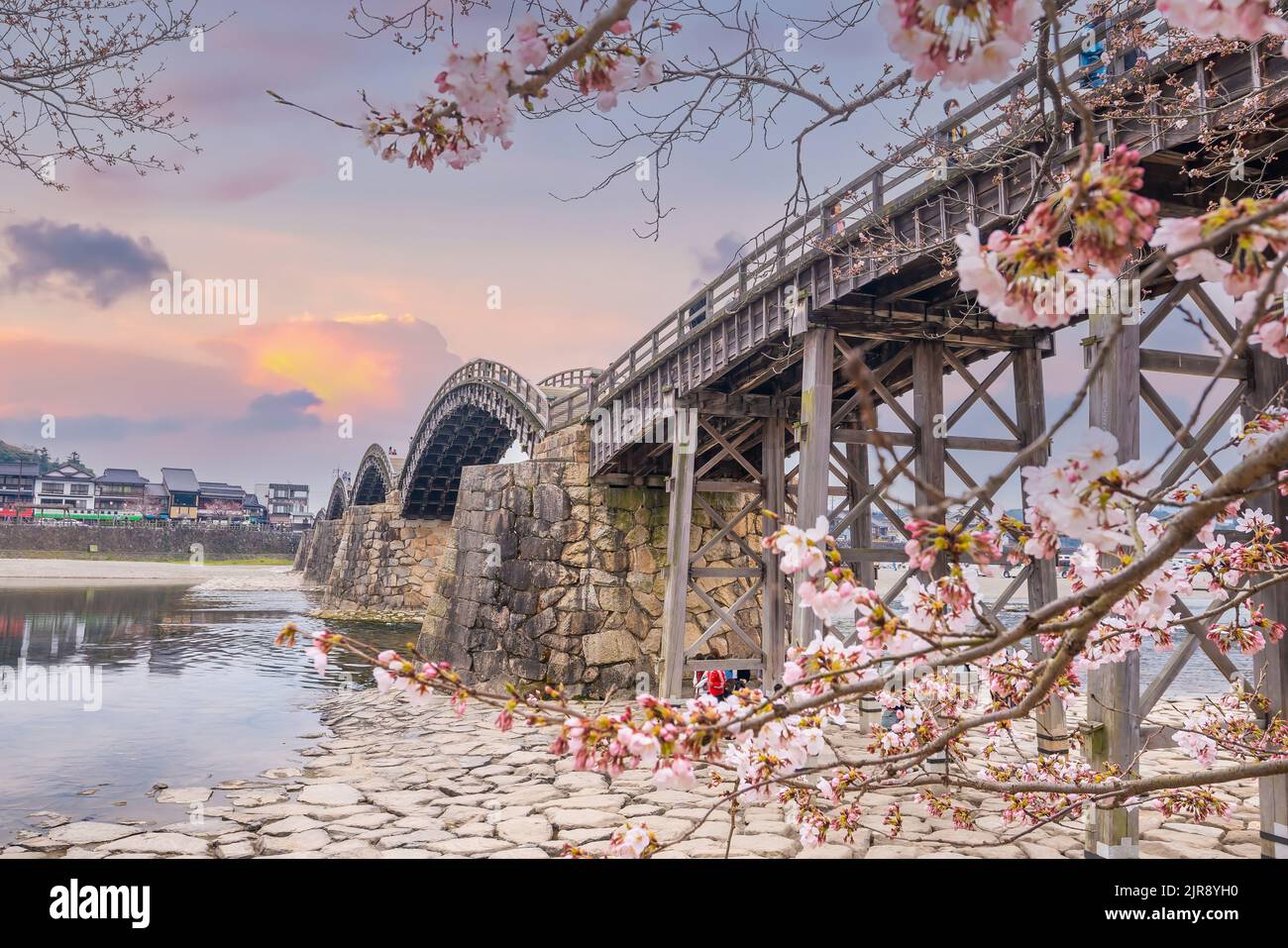 Kintaikyo Bridge in Iwakuni, Japan at sunset with cherry blossom Stock ...