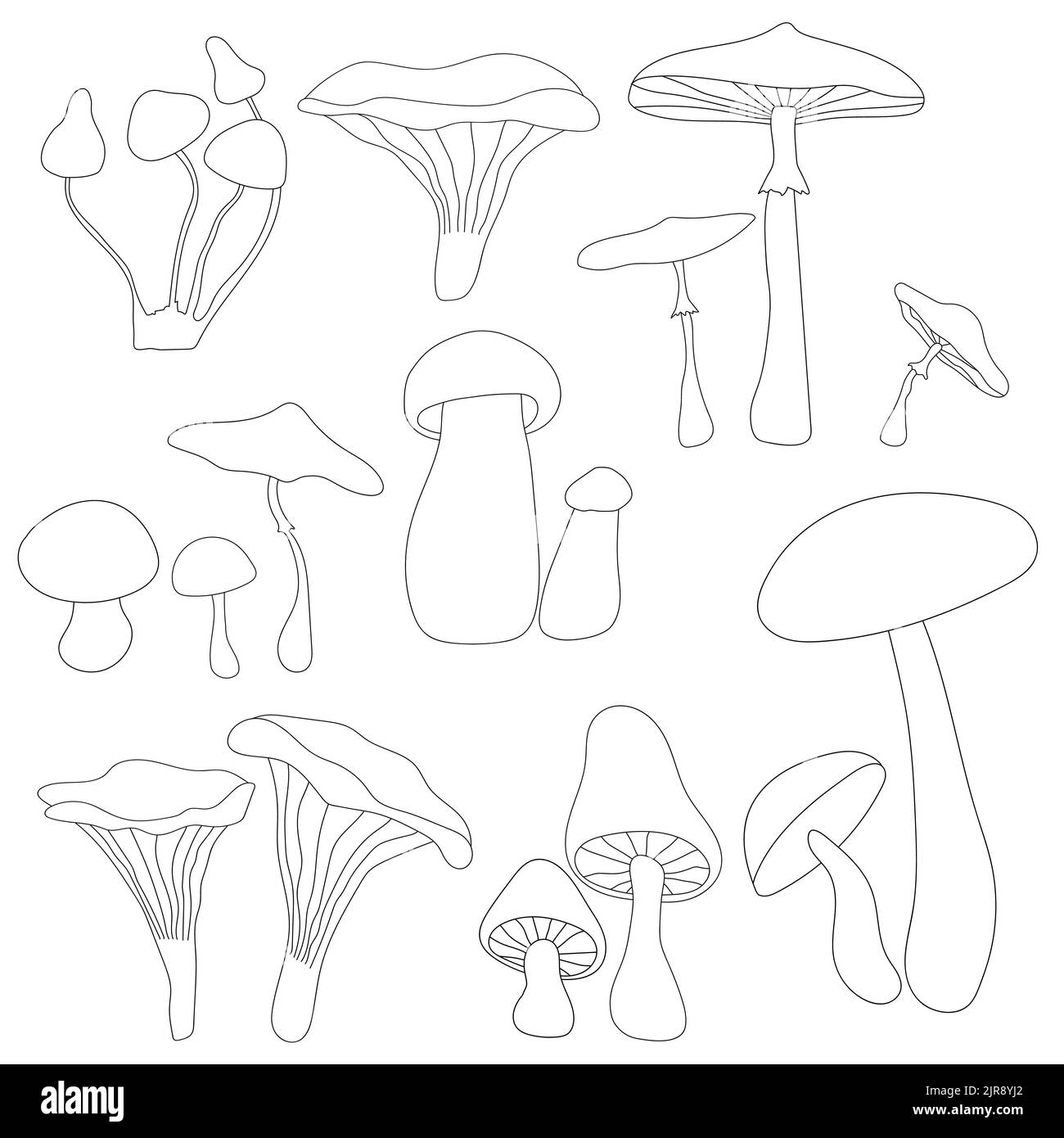 Autumn mushroom paintings Stock Vector Image & Art - Alamy