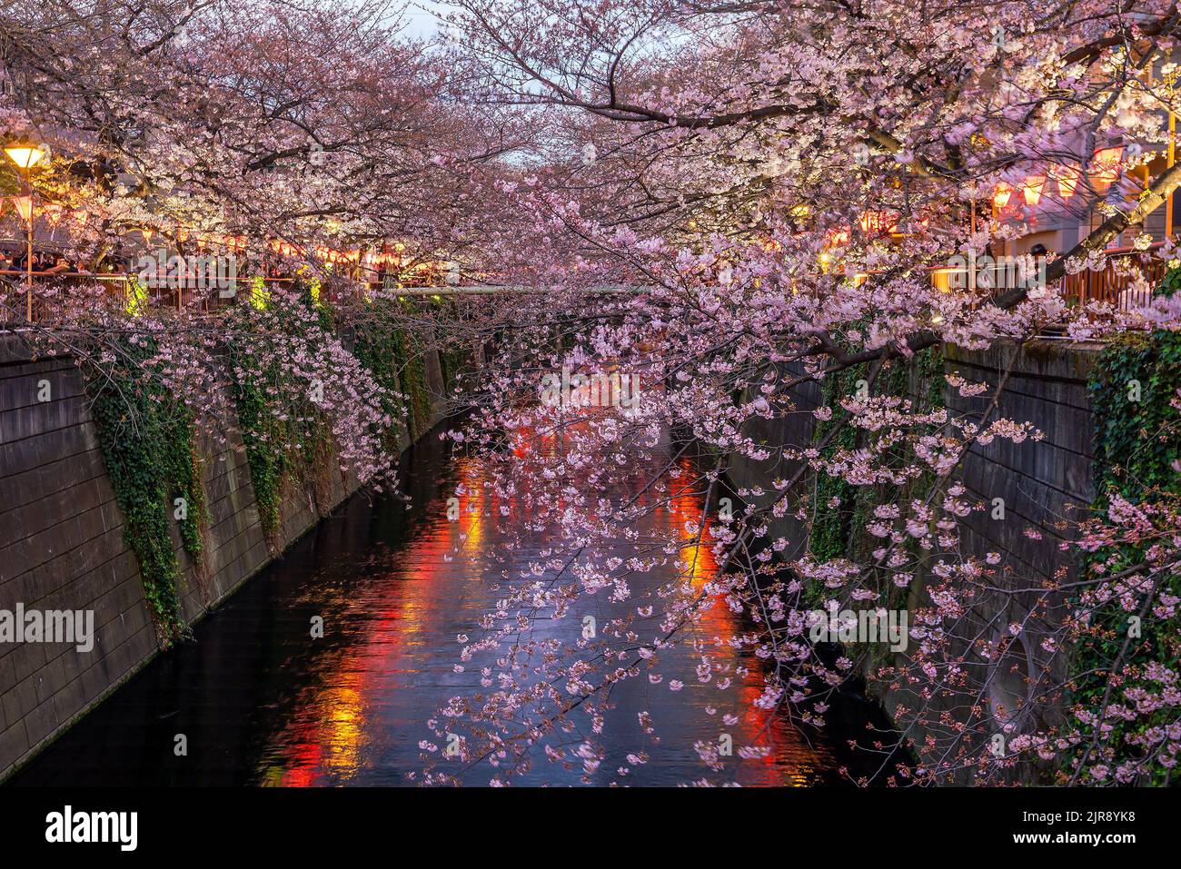 Nakameguro sky garden tokyo hi-res stock photography and images - Alamy