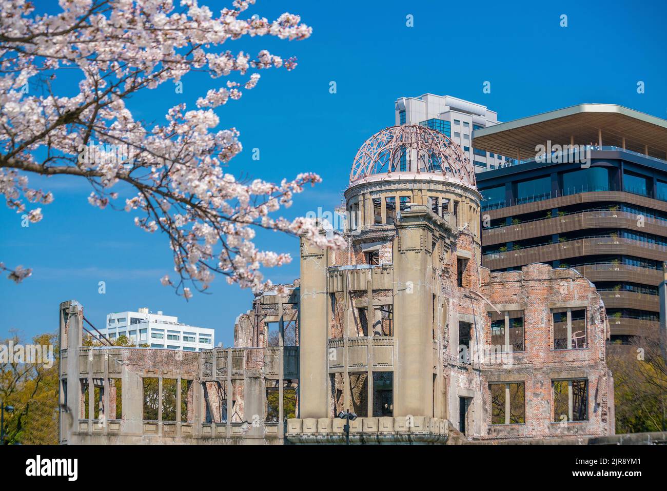 View of the atomic bomb dome in Hiroshima Japan. UNESCO World Heritage Site with cherry blossom ...
