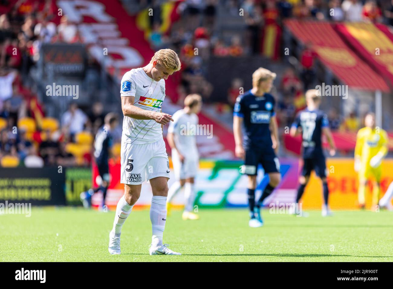 Martin frese hi-res stock photography and images - Alamy