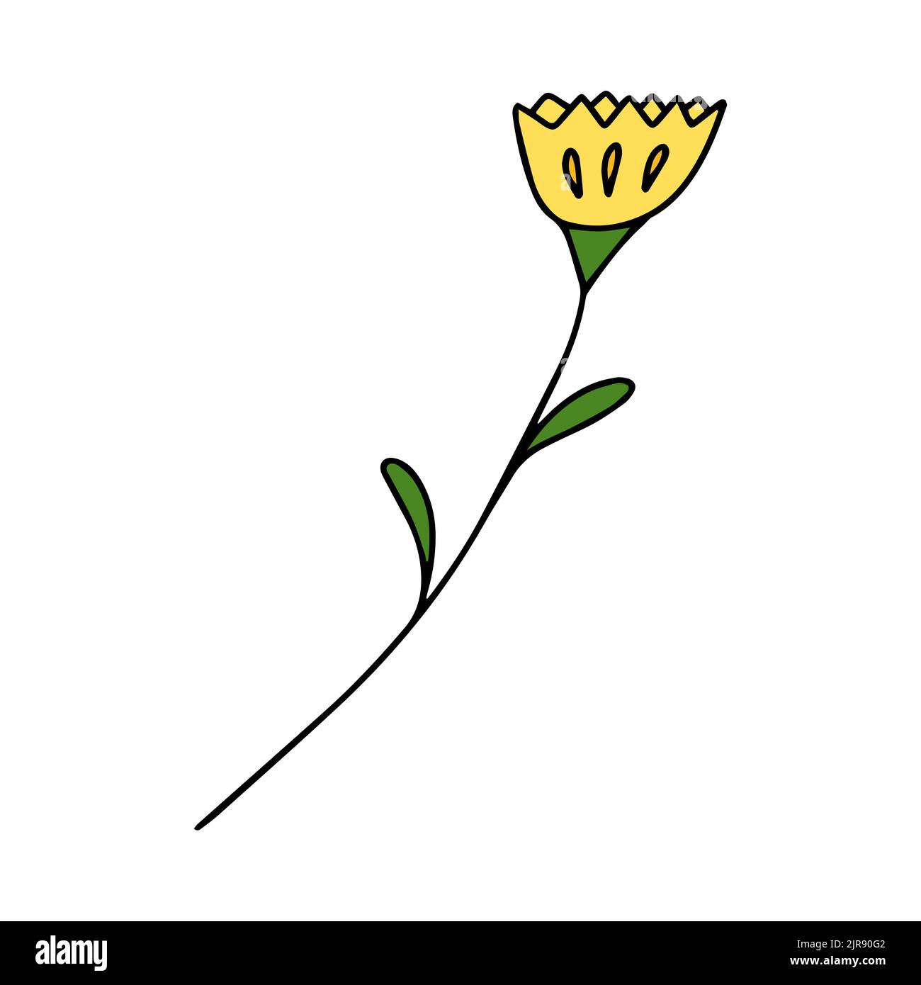 Colorful bright flower. Vector illustration in hand drawn style Stock ...