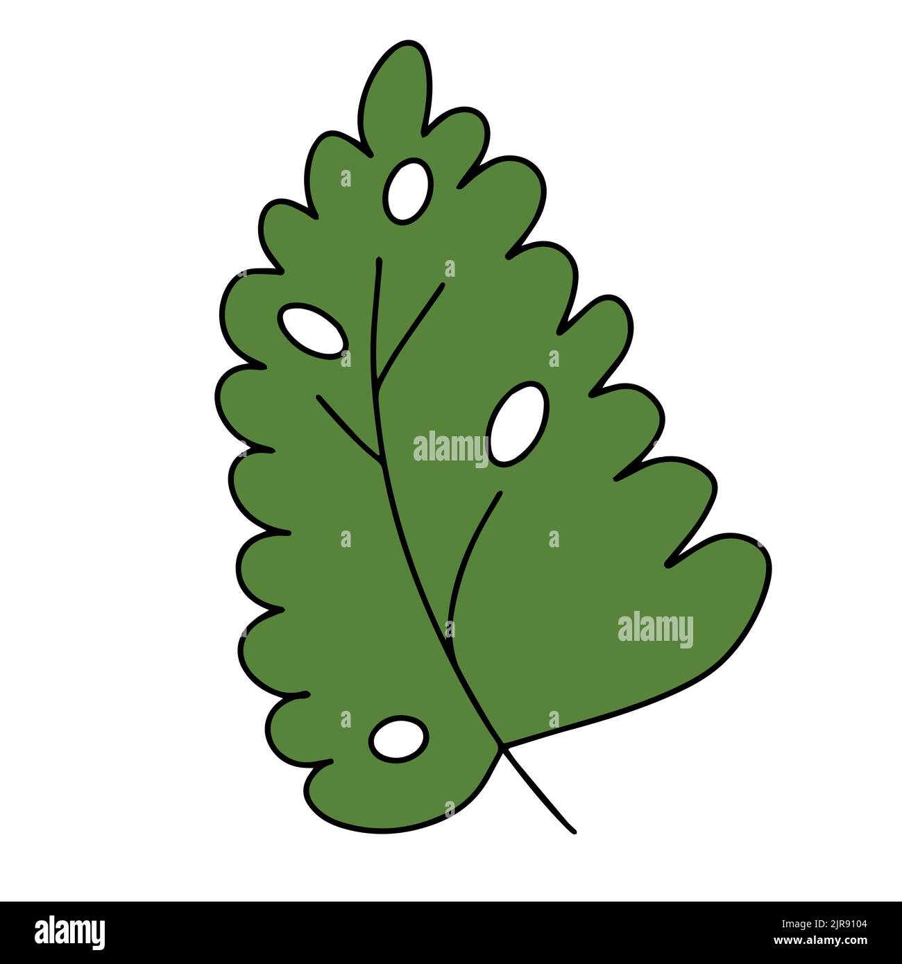 Fresh natural green leaf colored with stroke. Vector illustration Stock ...