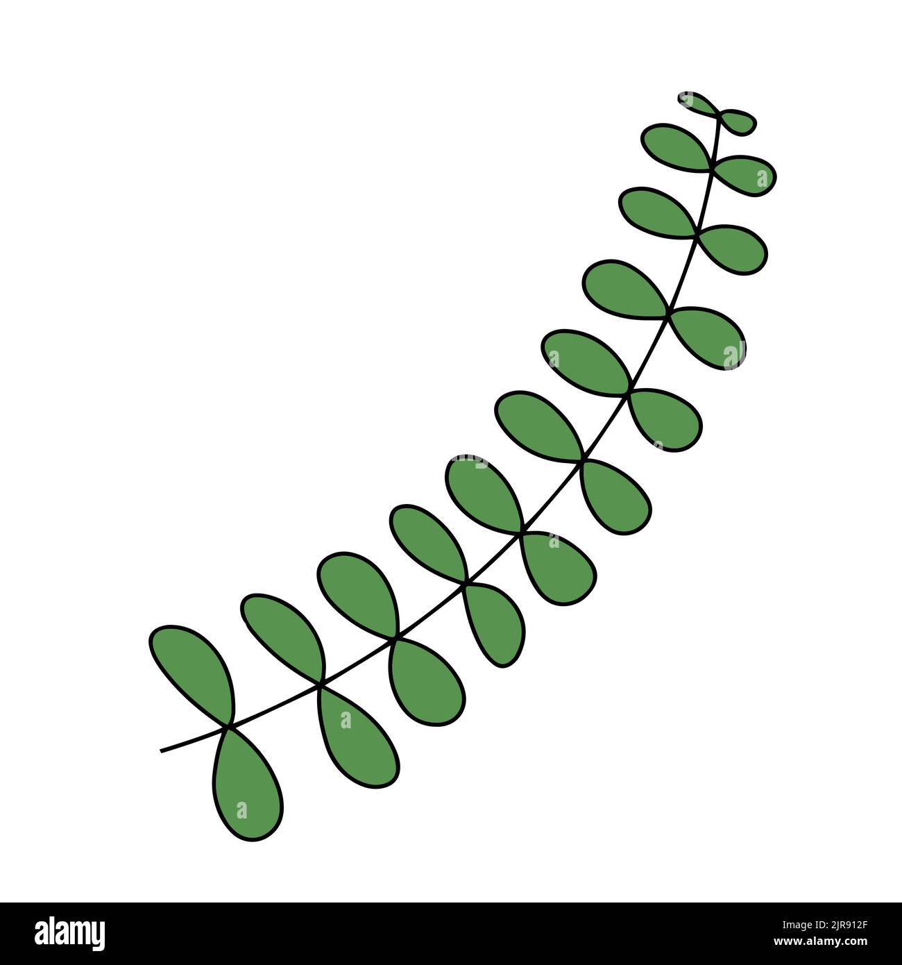 Fresh natural green leaf colored with stroke. Vector illustration Stock ...