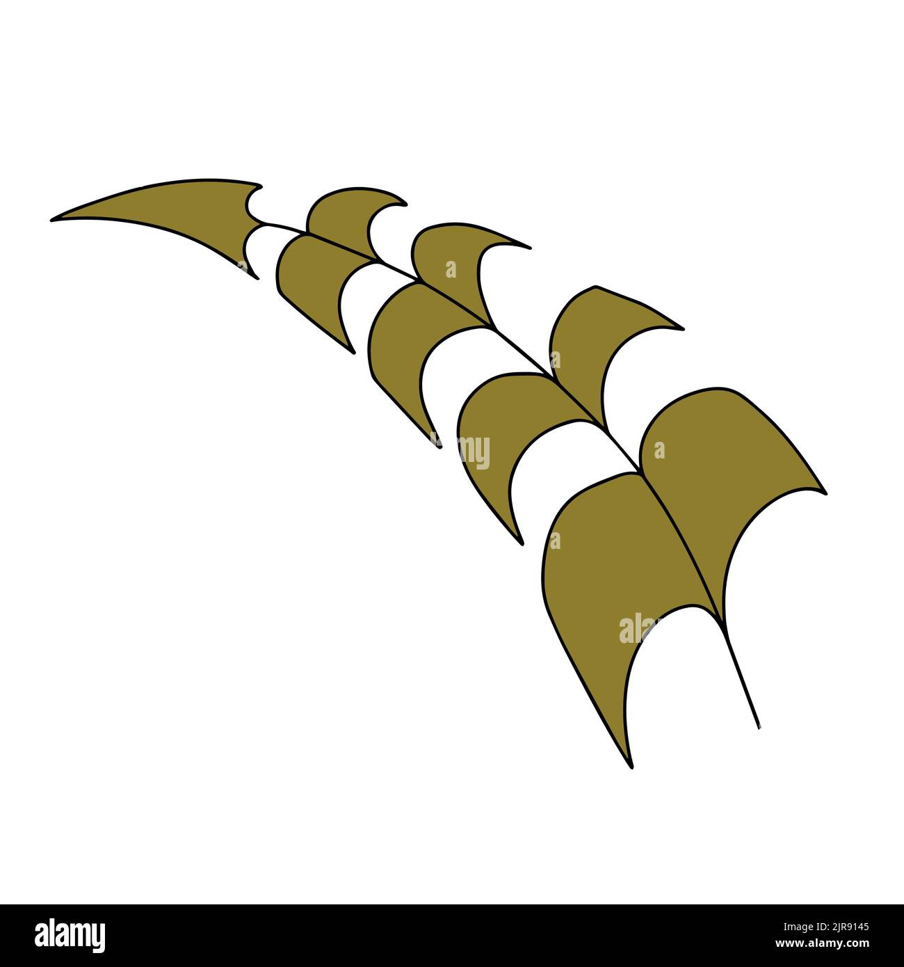 Fresh natural green leaf colored with stroke. Vector illustration Stock ...