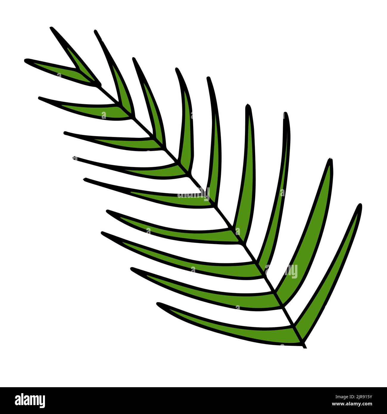 Fresh natural green leaf colored with stroke. Vector illustration Stock ...