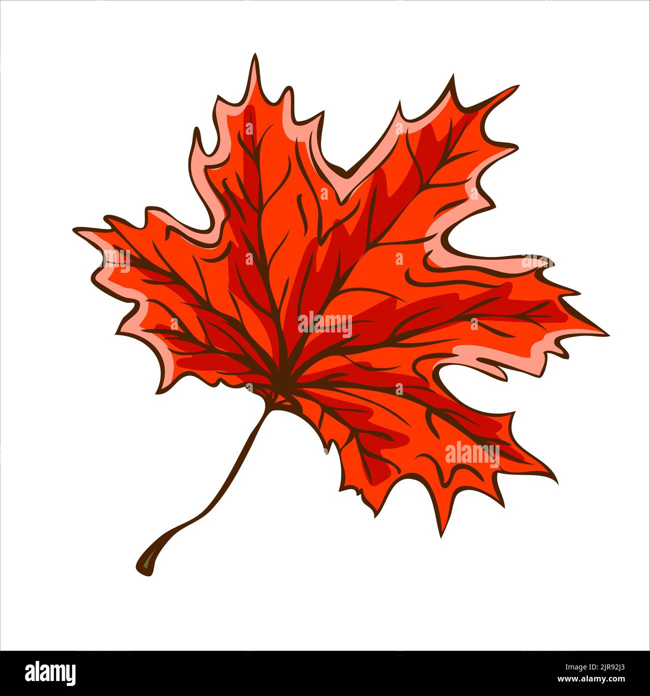 Red autumn maple leaf. Harvest concept. Vector illustration Stock ...