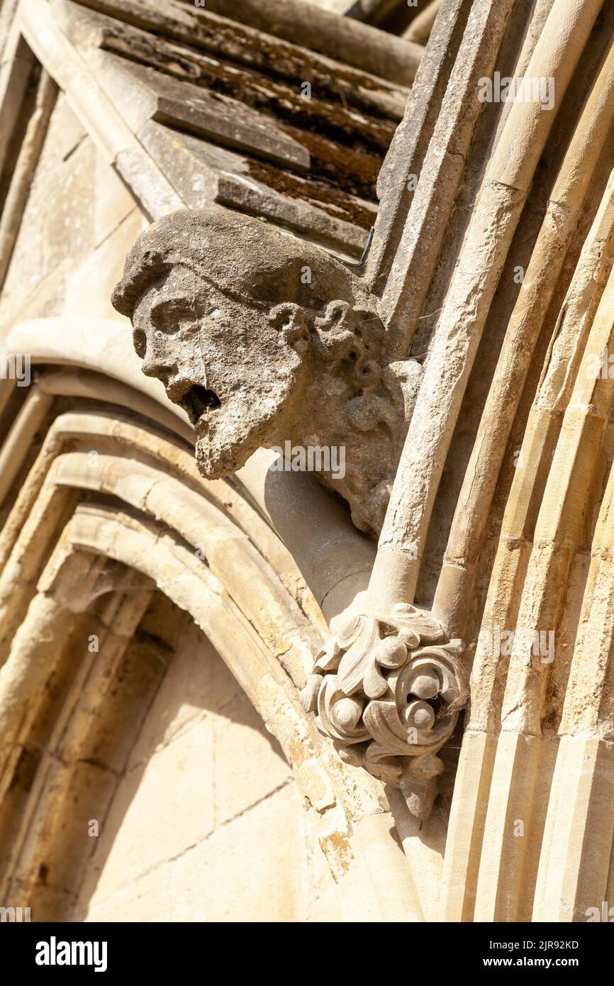 Close up of a gargoyle on Salisbury Cathedrals main entrance, England ...