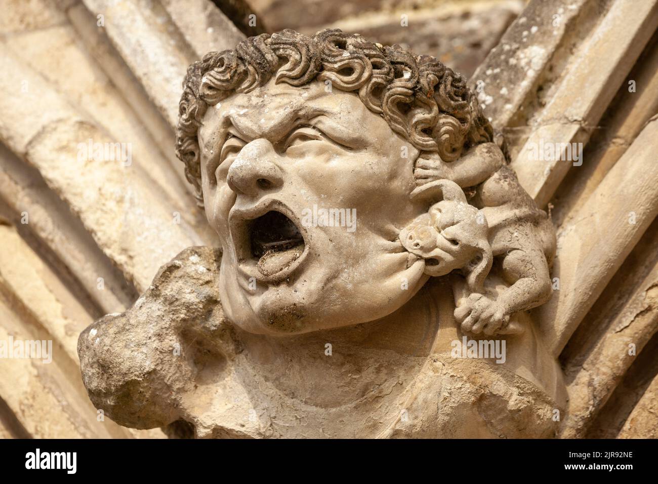 Close up of a gargoyle on Salisbury Cathedrals main entrance, England ...