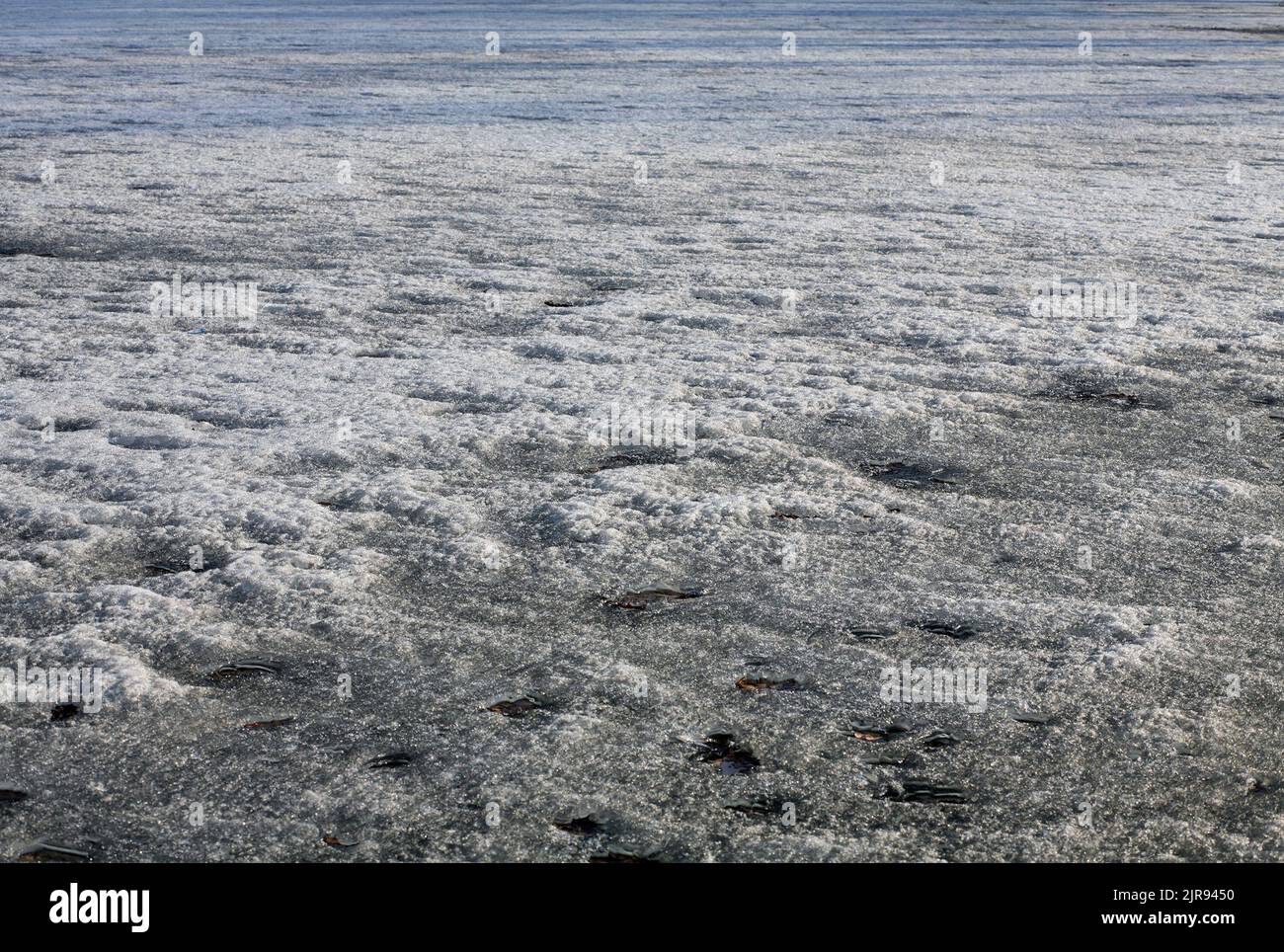 last spring ice on pond Stock Photo - Alamy