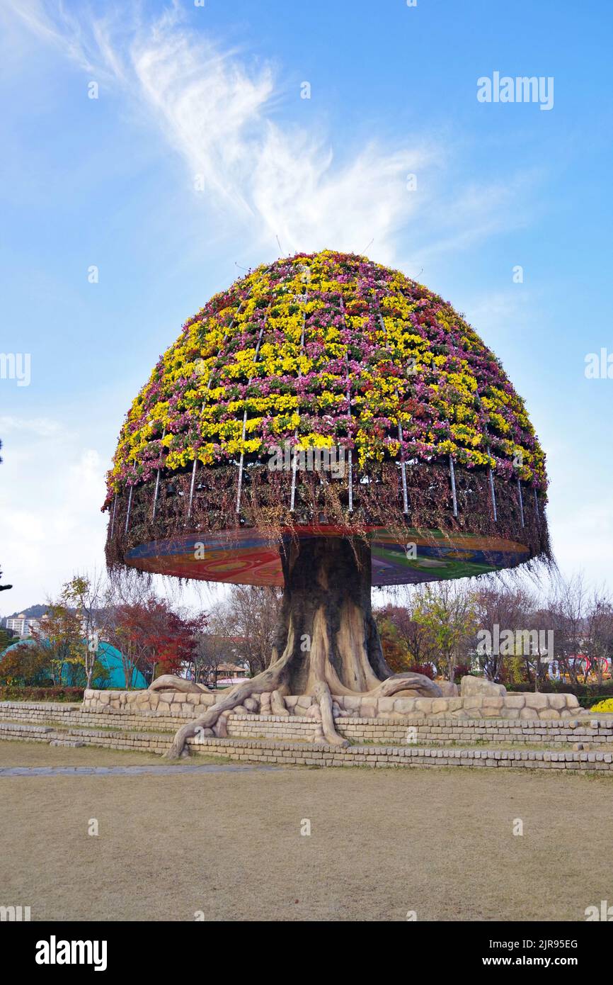 Majestic tree hi-res stock photography and images - Alamy