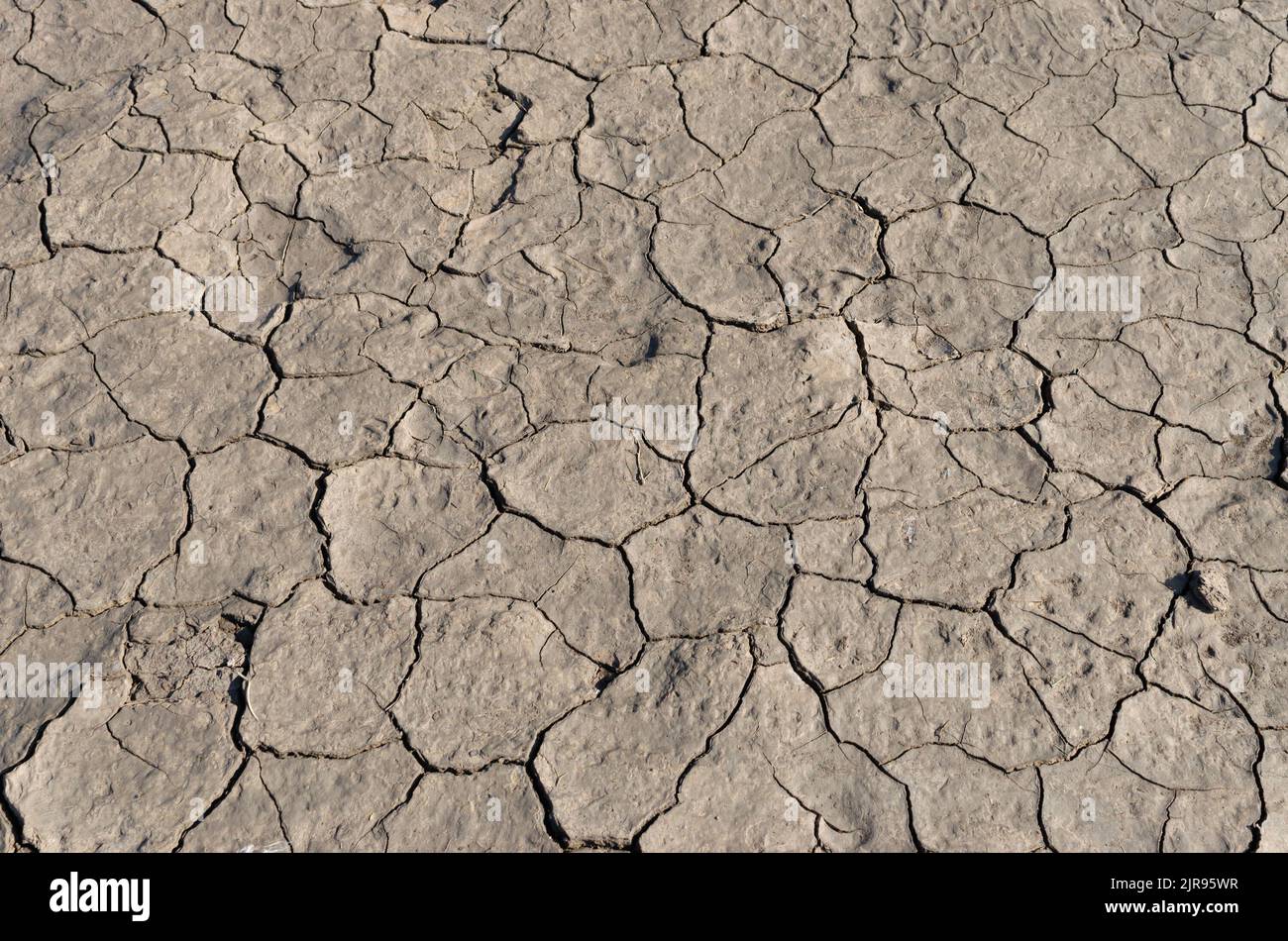 Cracked dried river clay bed hi-res stock photography and images - Alamy
