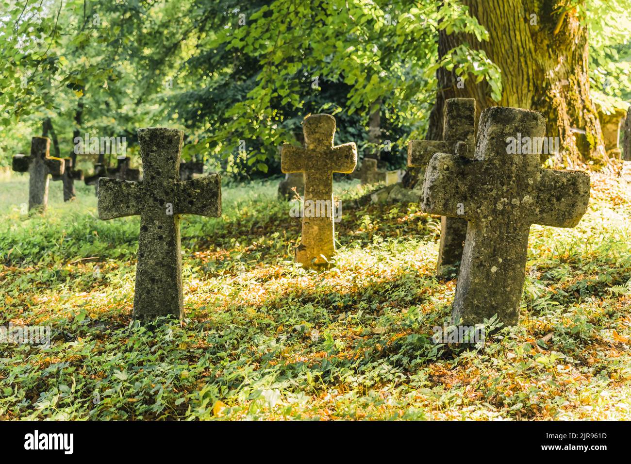 Moss-covered stone cross statues in wild lush green forest. Abandoned ...
