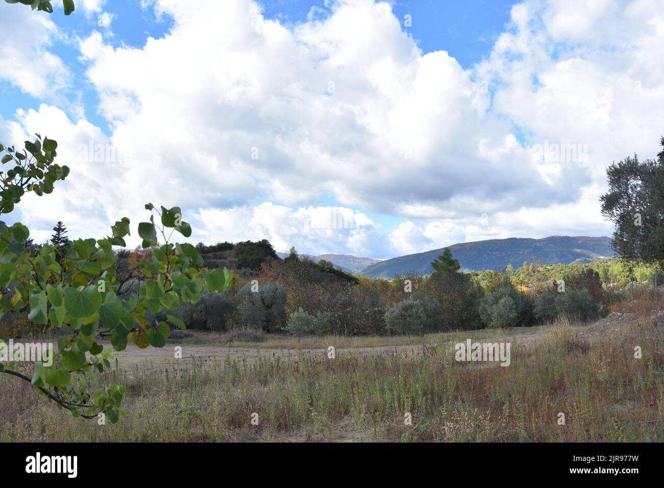 Greek spring nature hi-res stock photography and images - Alamy