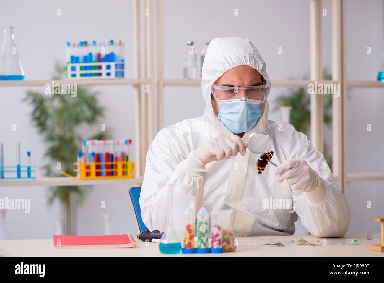 Young chemist zoologist working at the lab during pandemic Stock Photo - Alamy