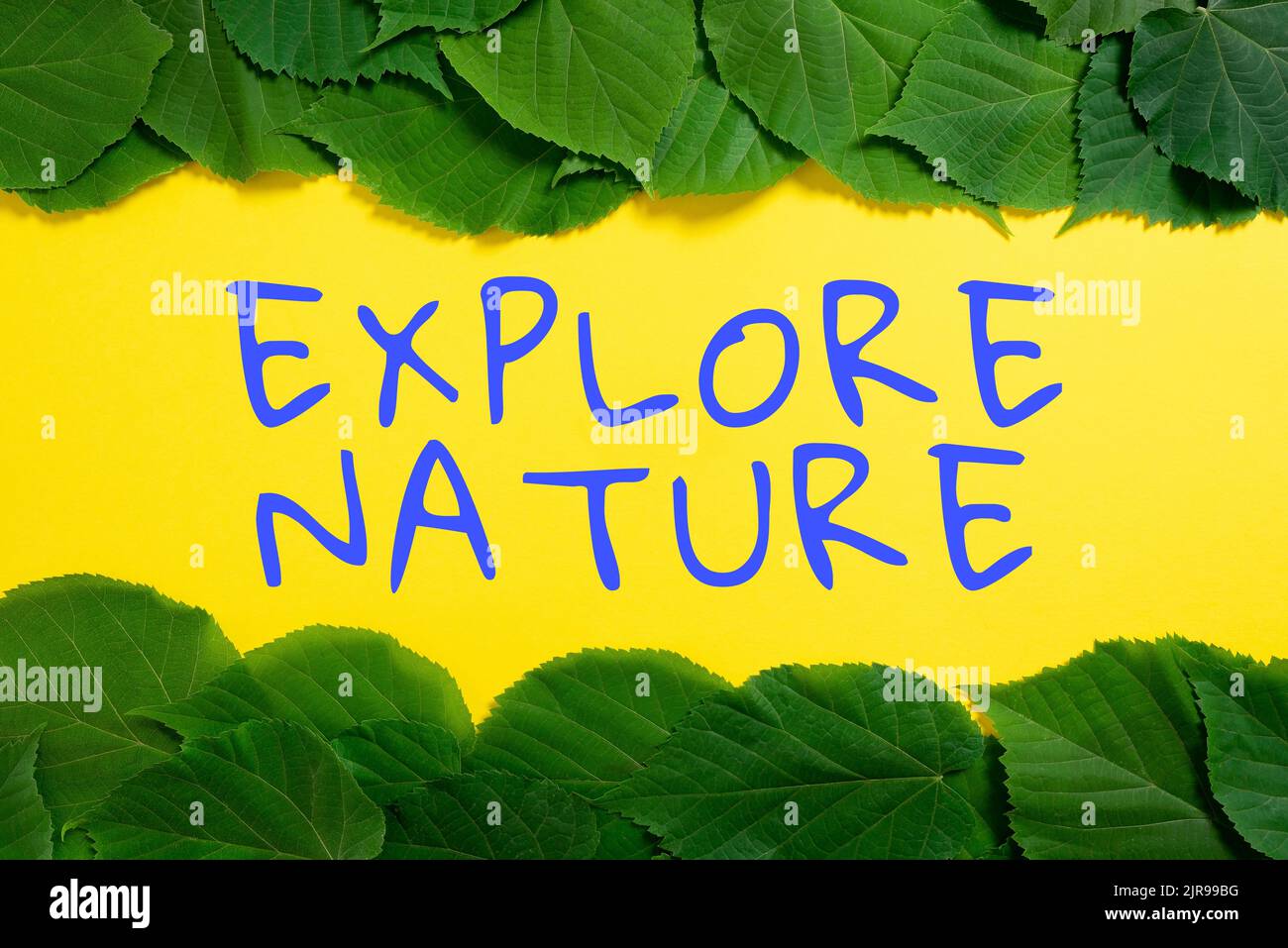 Writing displaying text Explore Nature. Internet Concept Reserve ...