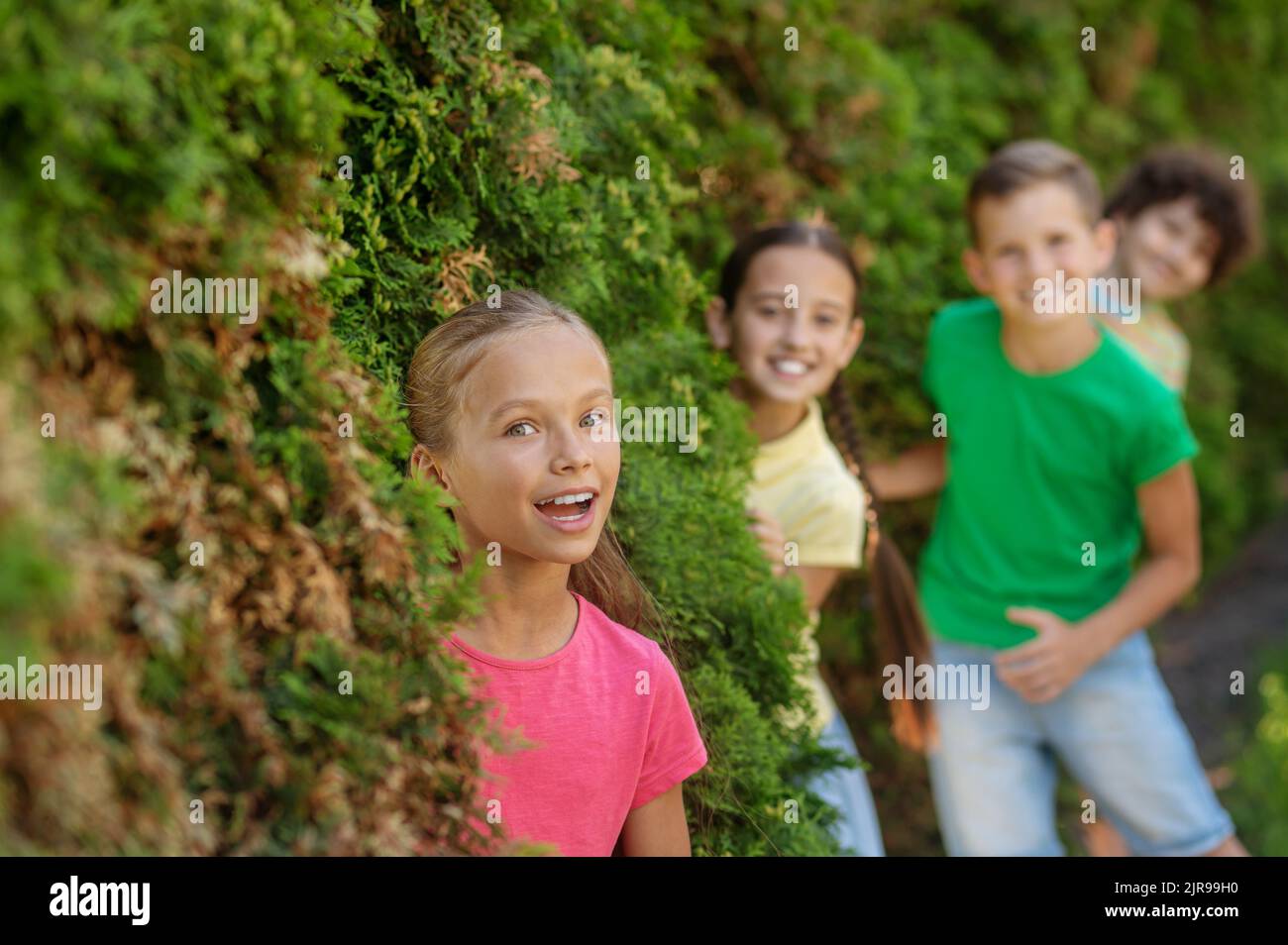 Happy girl and friends looking out of bushes Stock Photo - Alamy