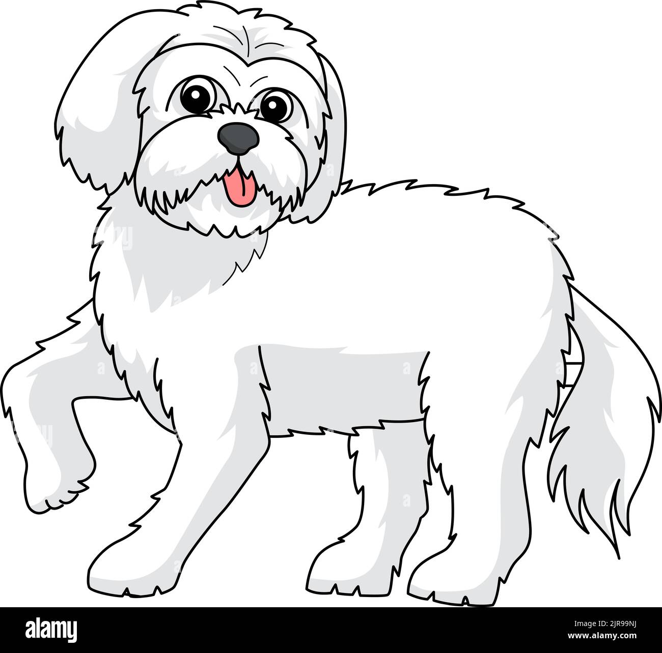 Maltese Dog Cartoon Colored Clipart Illustration Stock Vector Image ...