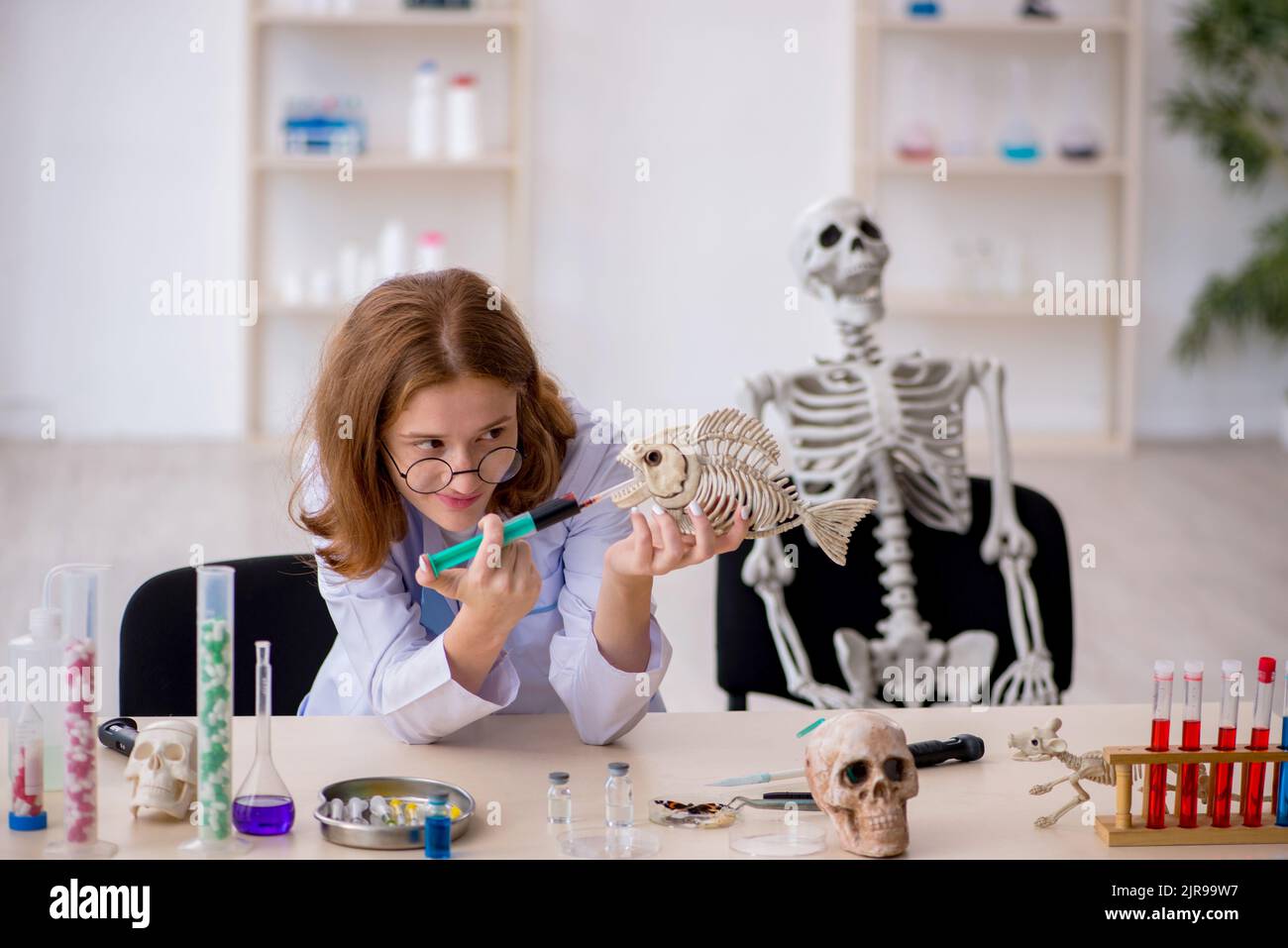 Young female zoologist working at the laboratory Stock Photo - Alamy