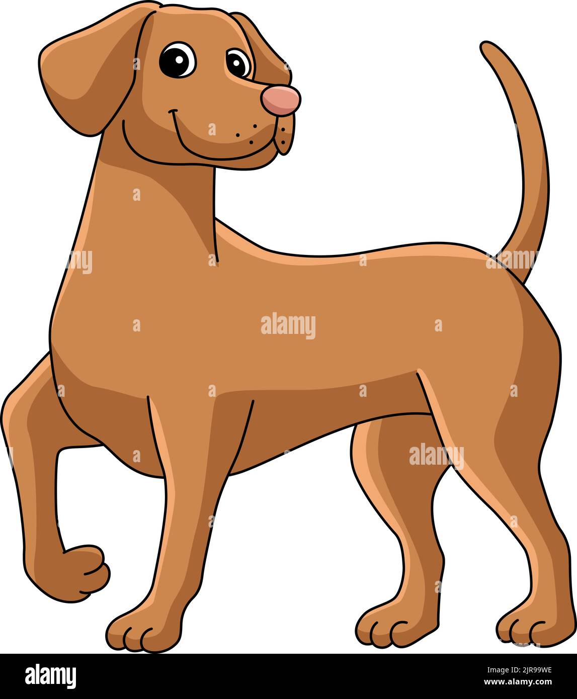 Vizsla Dog Cartoon Colored Clipart Illustration Stock Vector Image ...