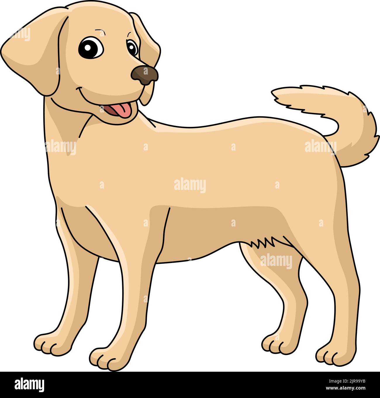 Labrador Retriever Dog Cartoon Colored Clipart Stock Vector Image & Art ...