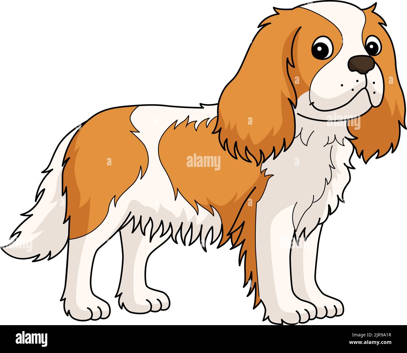 Smooth undocked tail Stock Vector Images - Alamy