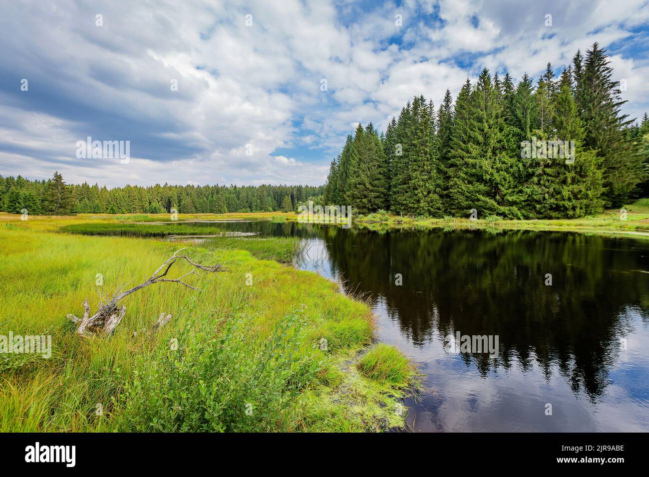 Scenic view of taiga landscape with a lake and forest. Reflection of ...