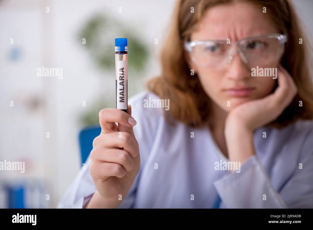 Young girl hematologist working at the lab Stock Photo - Alamy