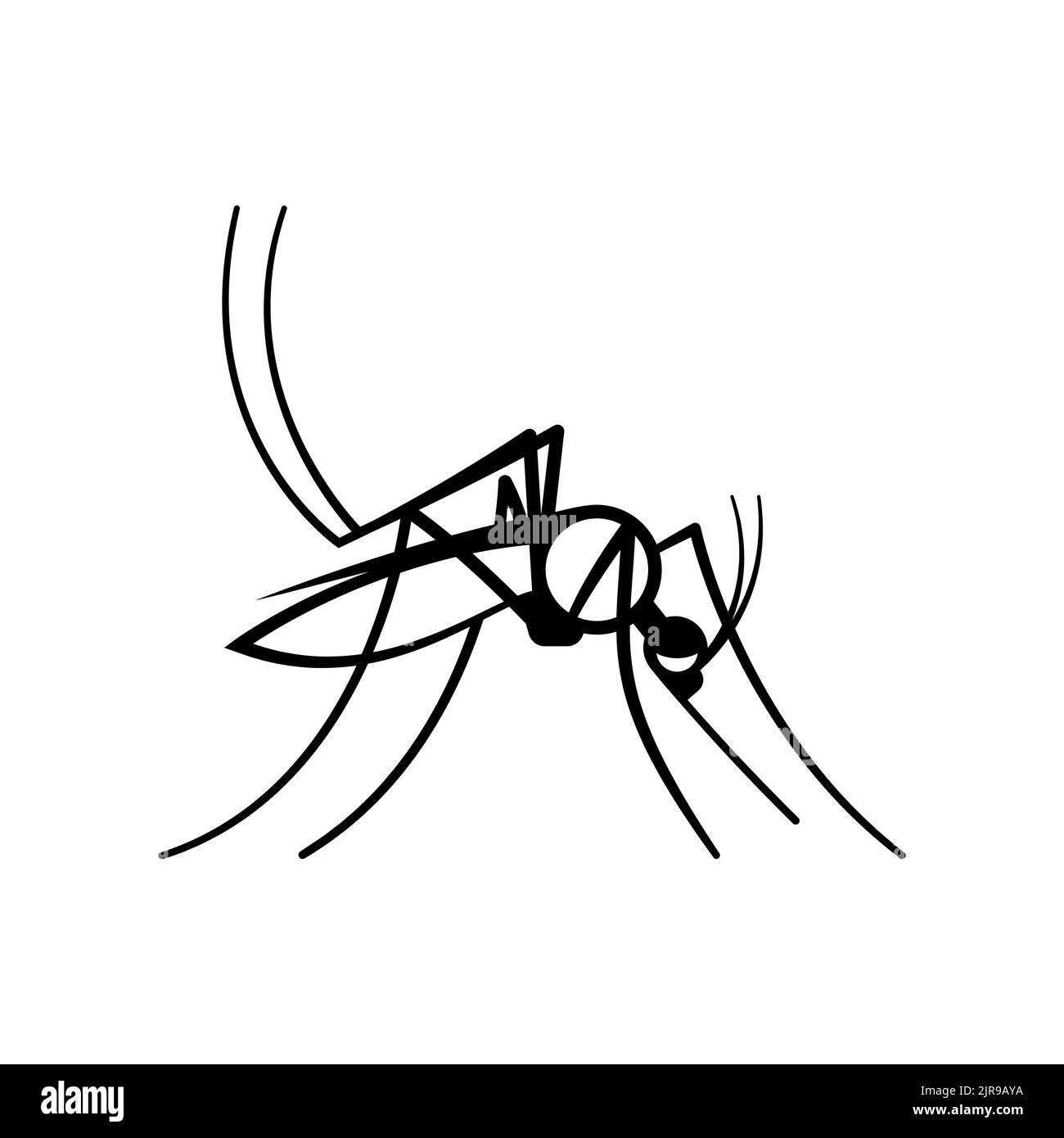 The black silhouette of a mosquito is isolated on a white background ...