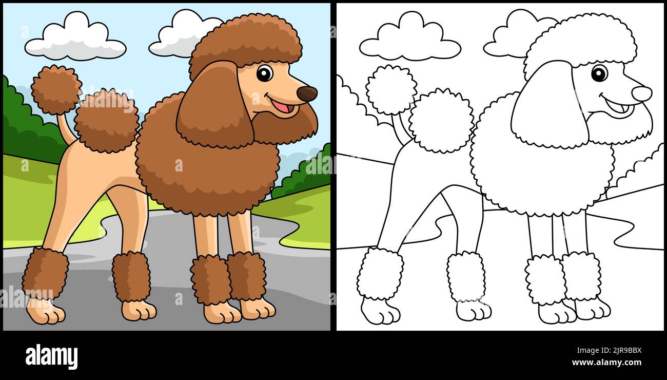 Poodle Dog Coloring Page Colored Illustration Stock Vector Image & Art ...