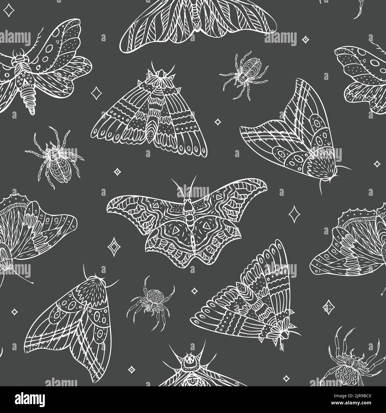 Seamless pattern of vector night butterflies and spiders. Vector ...
