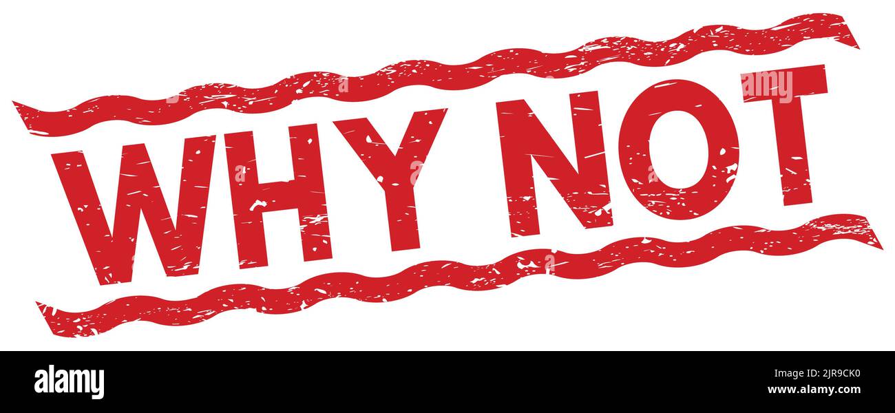 WHY NOT text written on red lines stamp sign Stock Photo - Alamy