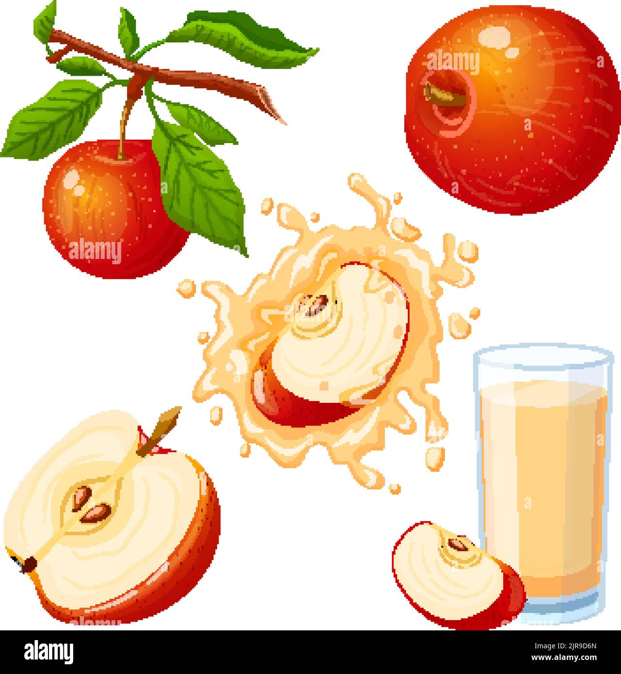 apple fruit food set cartoon vector illustration Stock Vector Image ...