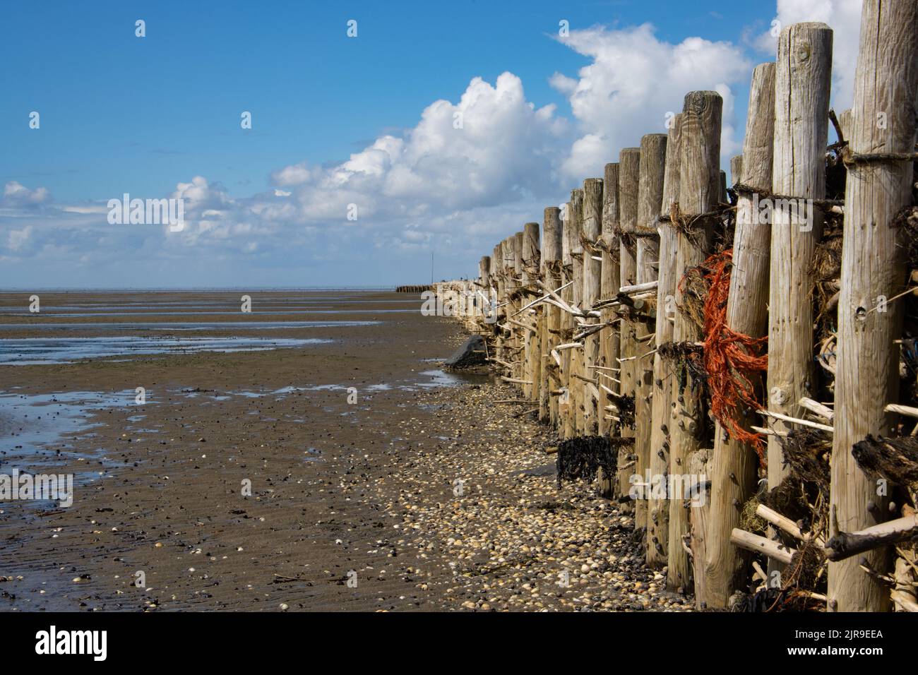 Wood barrier for land reclamation in the wadden sea, north sea Germany ...