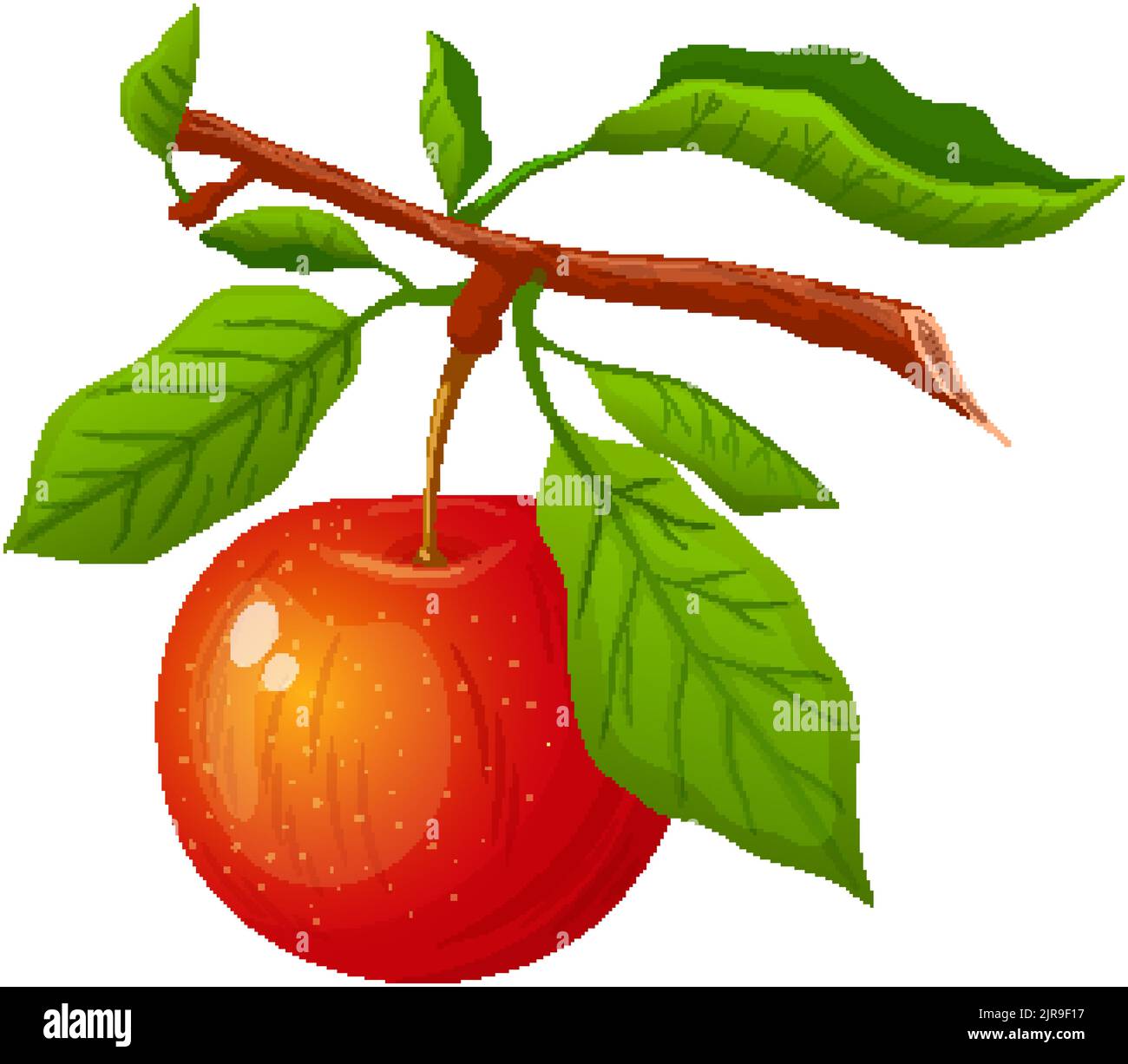 apple branch cartoon vector illustration Stock Vector Image & Art - Alamy