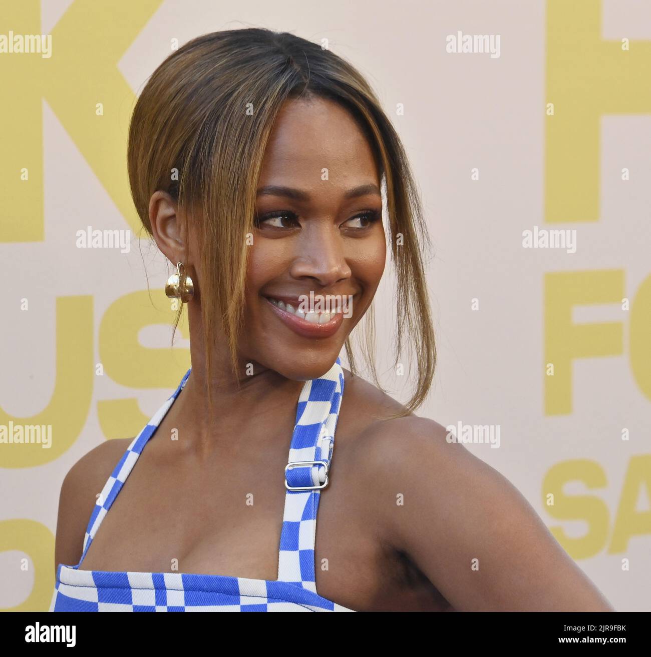 Los Angeles, United States. 23rd Aug, 2022. Cast member Nicole Beharie ...